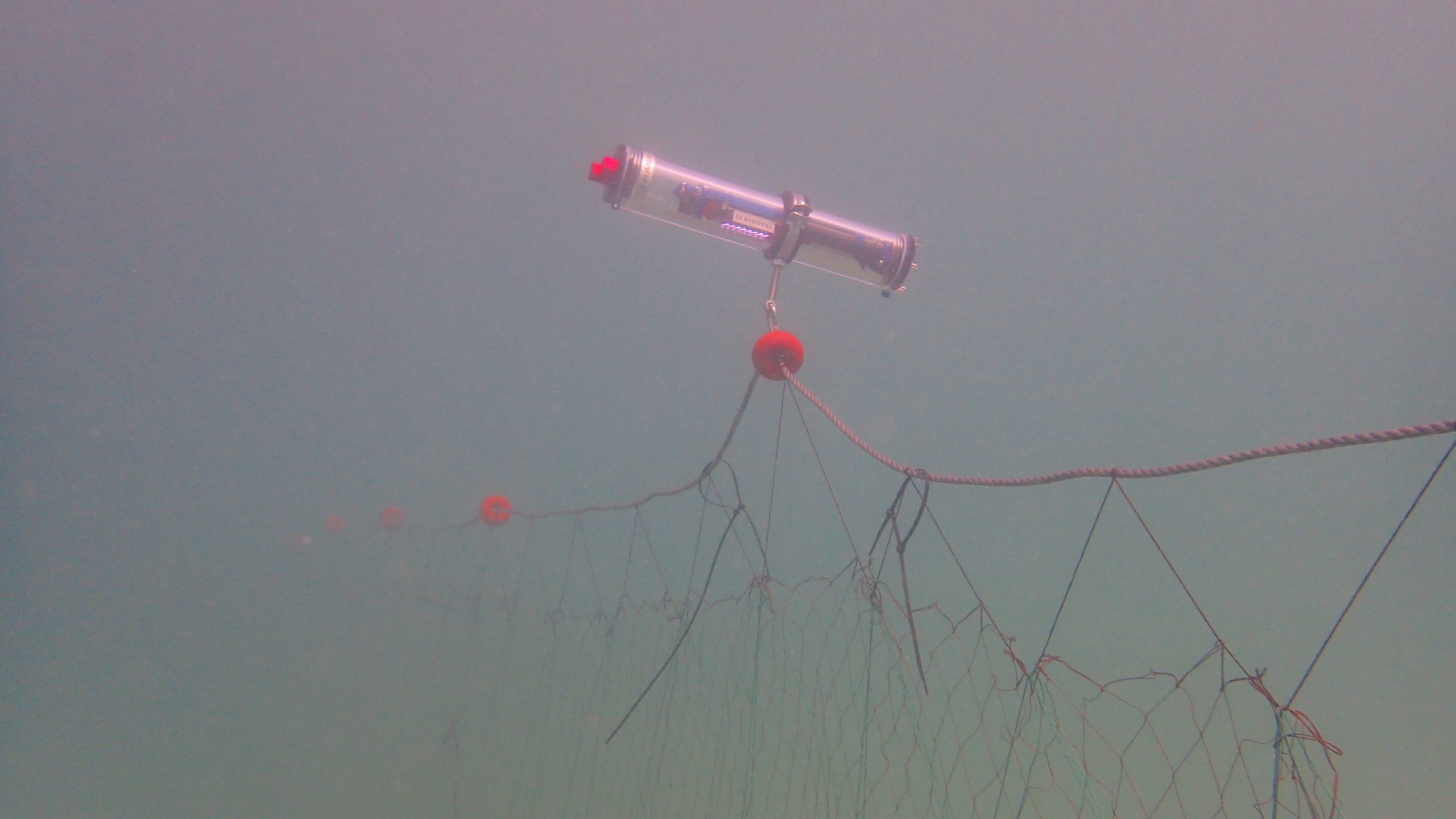 OceanDrivers your connection to the ocean - OceanDrivers